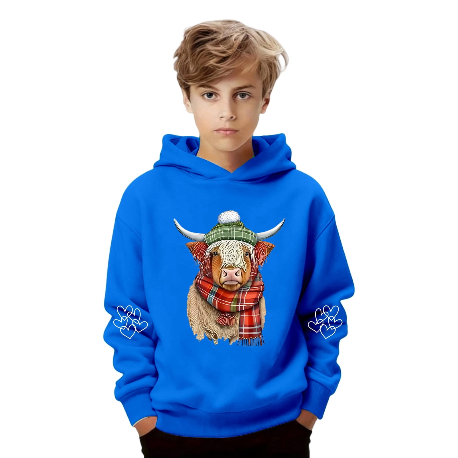 Bainana Little Boys Hoodie Cartoon Print Long Sleeve Hooded Tops Casual ...