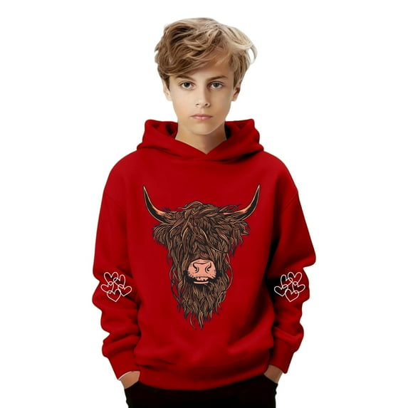 Bainana Little Boys Hoodie Cartoon Print Long Sleeve Hooded Tops Casual ...
