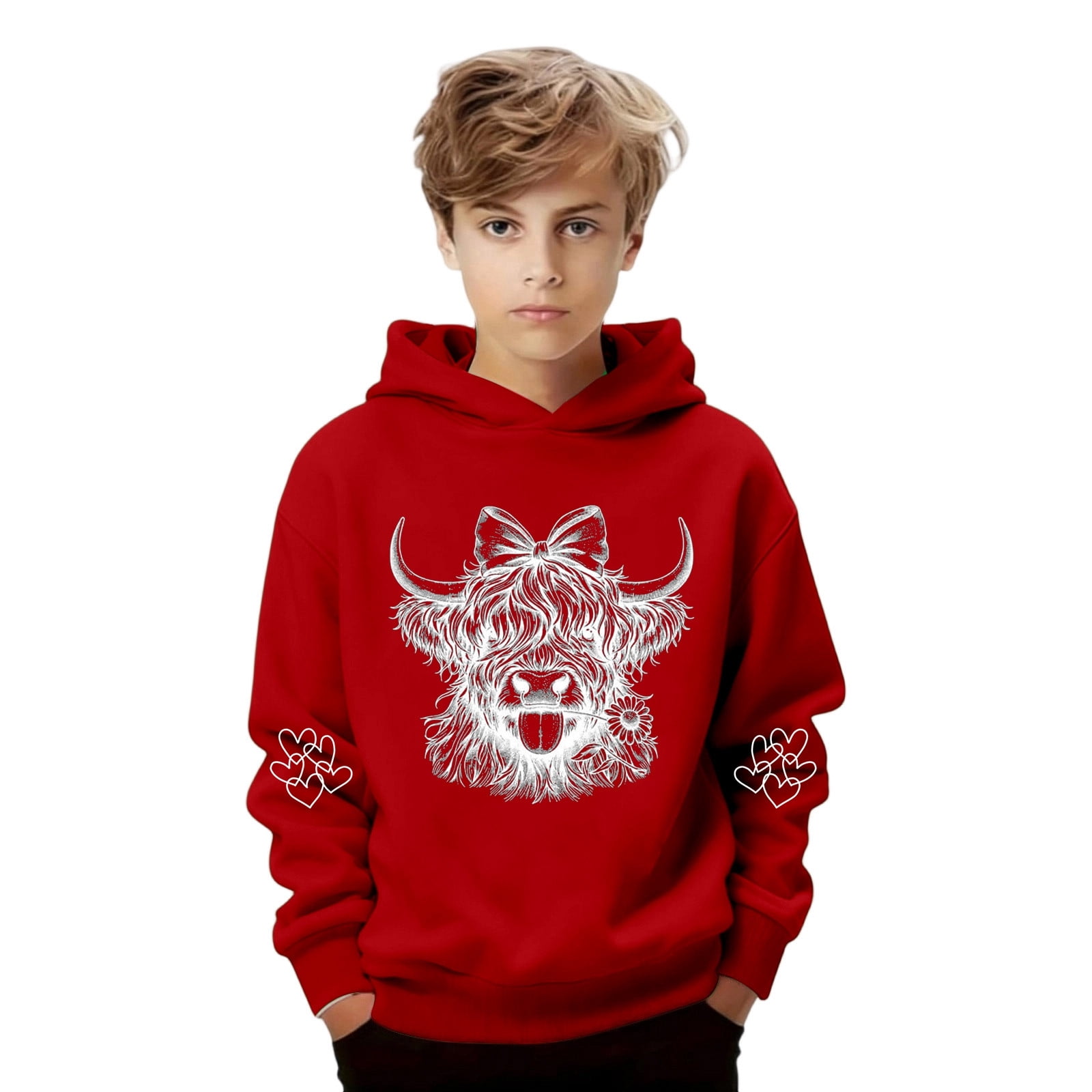 Bainana Little Boys Hoodie Cartoon Print Long Sleeve Hooded Tops Casual ...