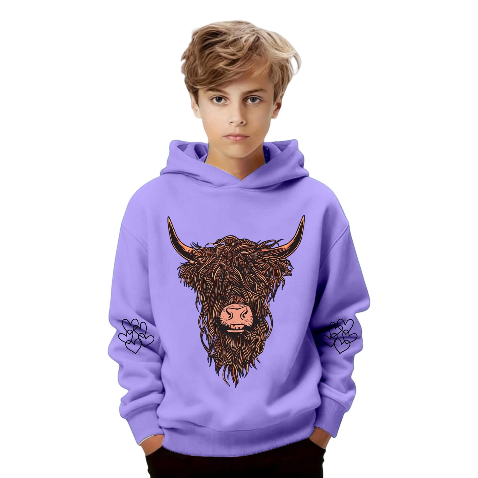 Bainana Little Boys Hoodie Cartoon Print Long Sleeve Hooded Tops Casual ...