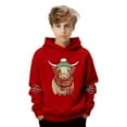 Bainana Little Boys Hoodie Cartoon Print Long Sleeve Hooded Tops Casual ...