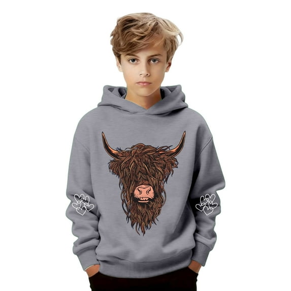 Bainana Little Boys Hoodie Cartoon Print Long Sleeve Hooded Tops Casual ...