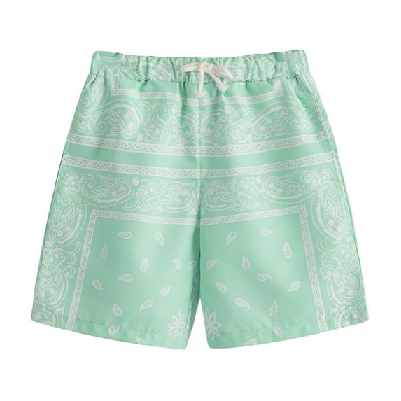 Bainana Little Boys Shorts Cartoon Print Elastic Waist Straight Leg ...