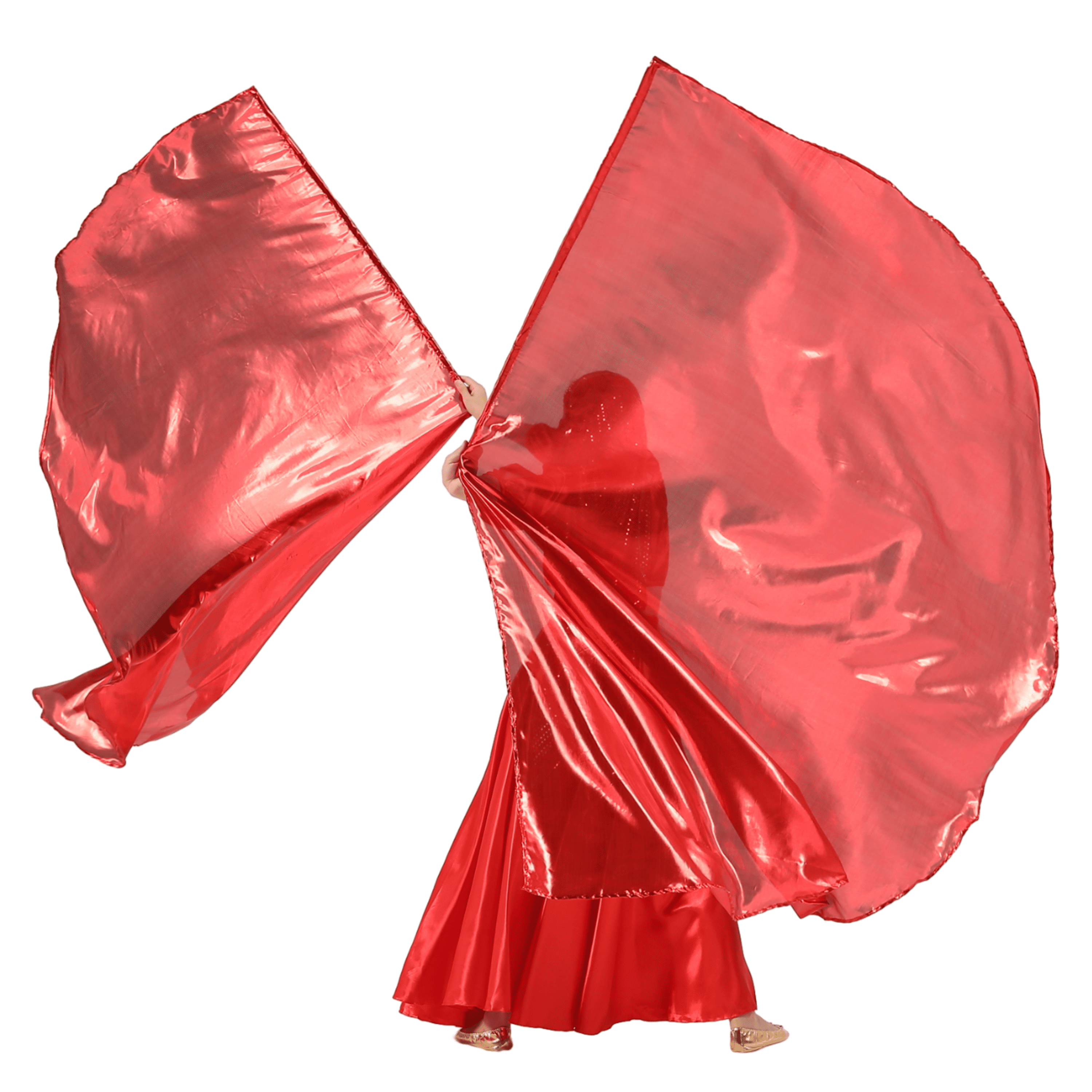 Baisdan 75'' Worship Flags for Dance Church, Praise Dance Flags for ...