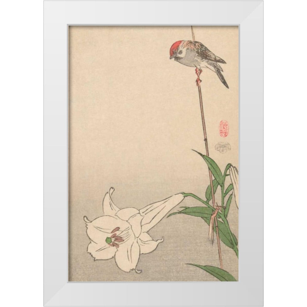 Baison 11x14 White Modern Wood Framed Museum Art Print Titled - Small bird on lily plant., 1893 ...