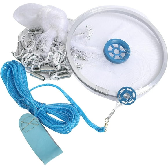 Saltwater Fish For Beginners