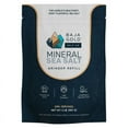 Baja Gold Mineral Sea Salt - Walmart.com