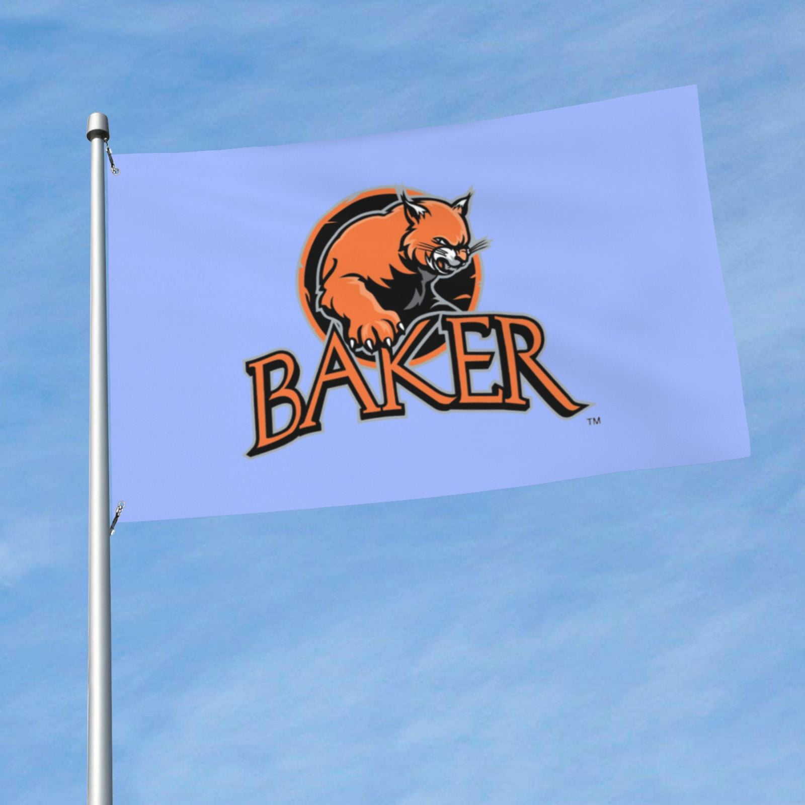 Baker University Logo Flag 3x5 Outdoor ,Sewn Stripes, Stronger Brass ...
