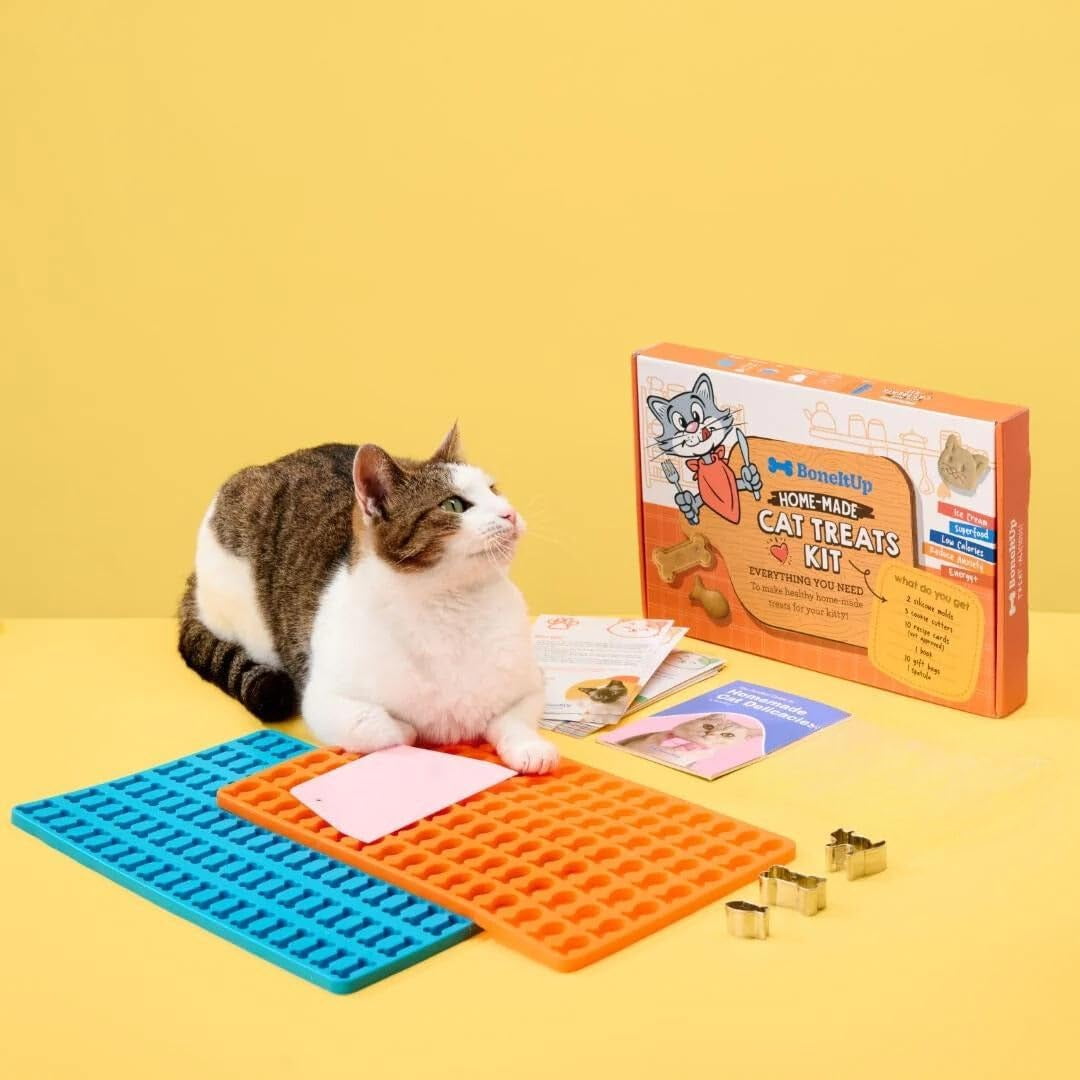 Baking Kit - Vet Recommended Recipes & Premium Silicone Treat Mold Pack ...