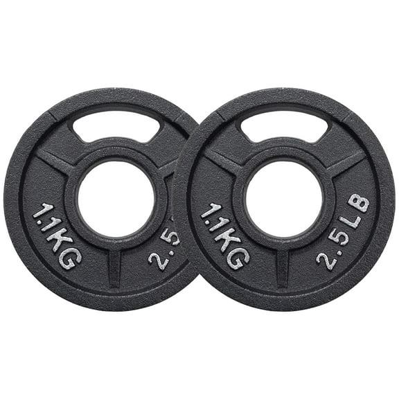 Signature Fitness Cast Iron Weight Plates, 1-Inch Hole, 2-Pack or 4 ...