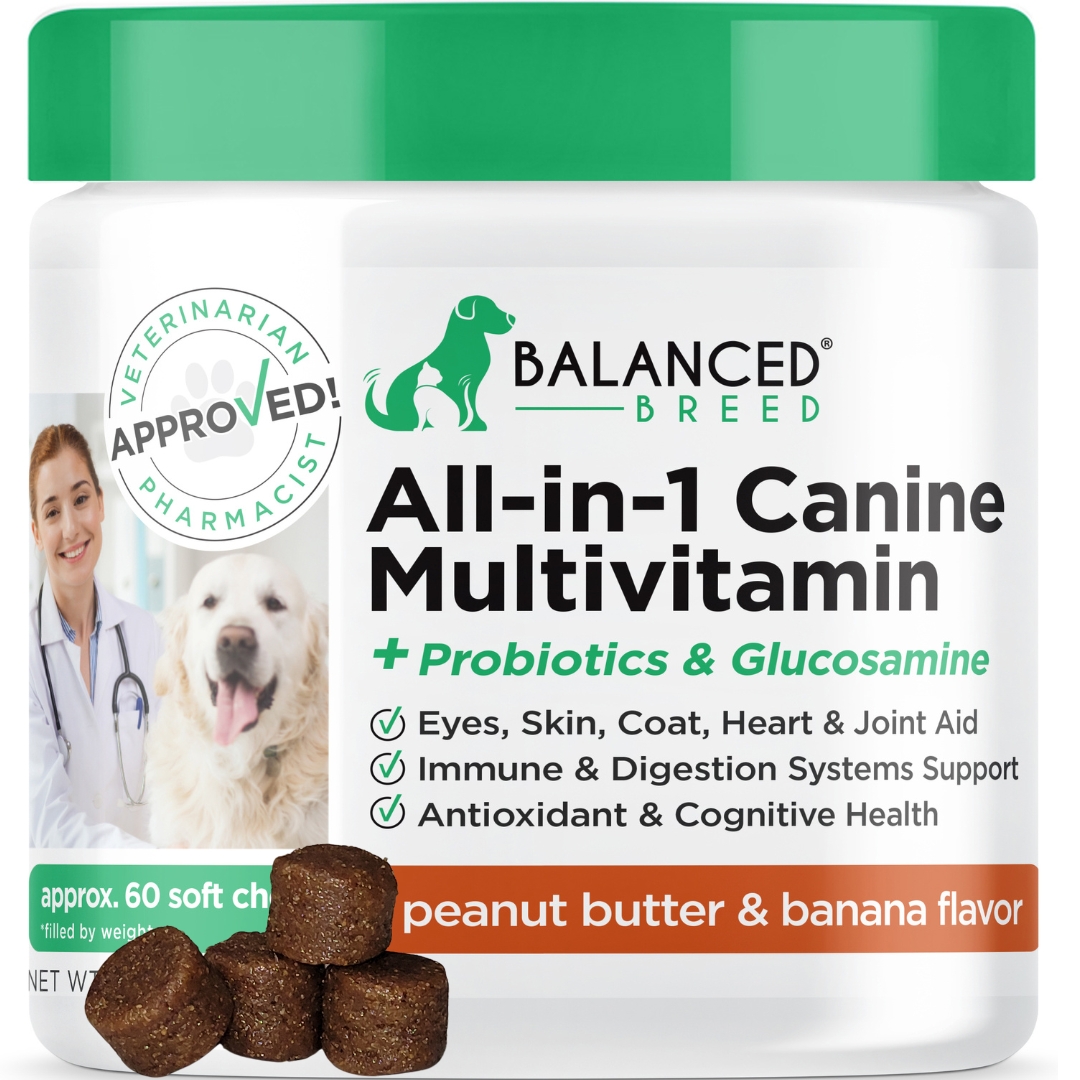Healthy Breeds Dog Multi-Tab Vitamin and Mineral Supplement for Beagle ...