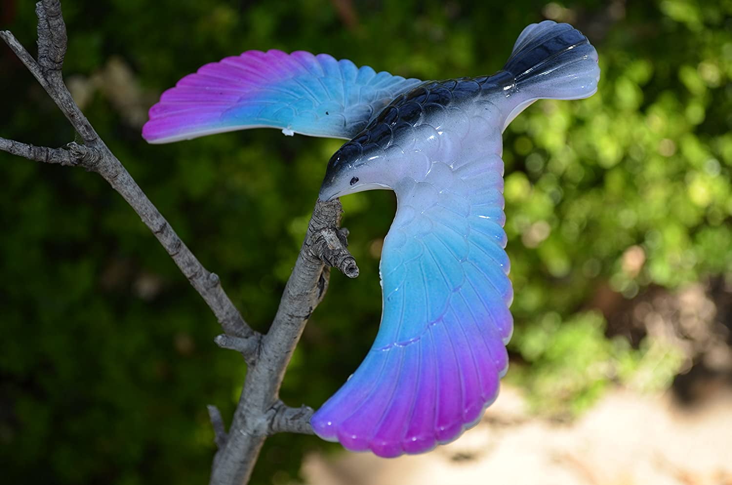 Balancing Bird Toy 6.5 Inch Wing Span-Colors May Vary by C&H Solutions ...