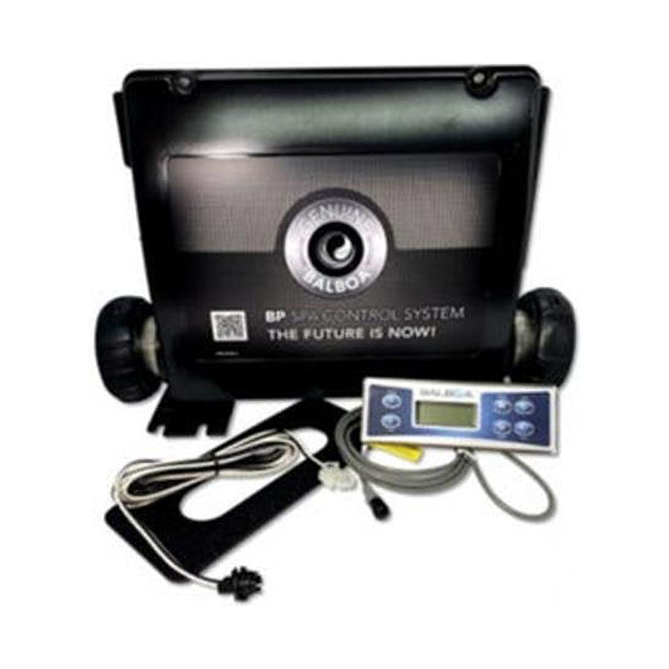 Balboa G6405 BP7, 230V 4.0kW Flow Through Heater - Walmart.com