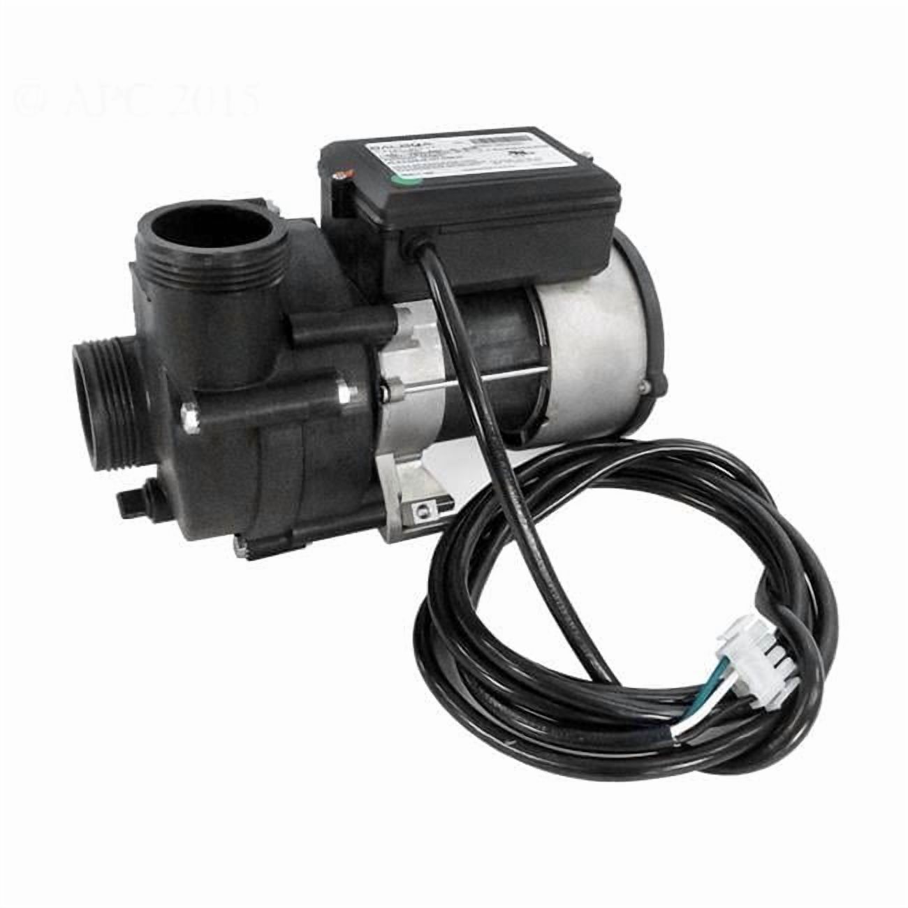 Balboa Water Group VIC1070021 0.25 HP 230V Circ Pump with 10 Frame ...