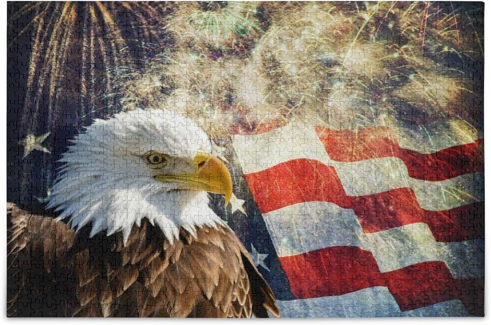 Bald Eagle American Flag Firework Patriotic 4Th of July Independence ...