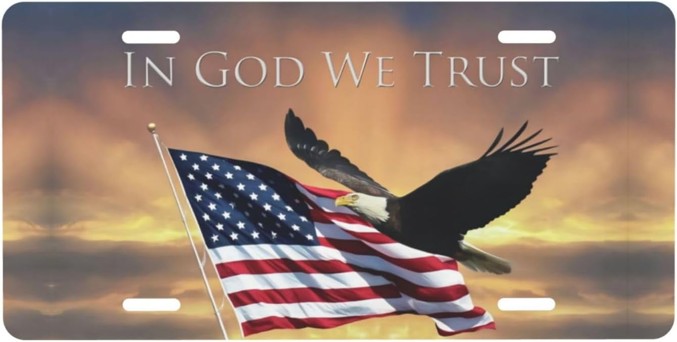 Bald Eagle American Flag car Front License Plate,Patriotic Plates ...