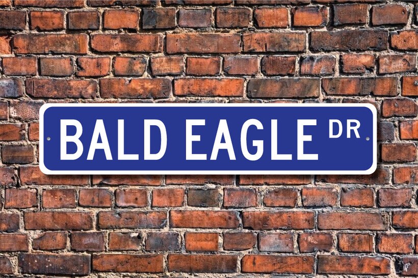 Bald Eagle Bald Eagle Gift Bald Eagle Sign Bald Eagle decor Bald Eagle ...