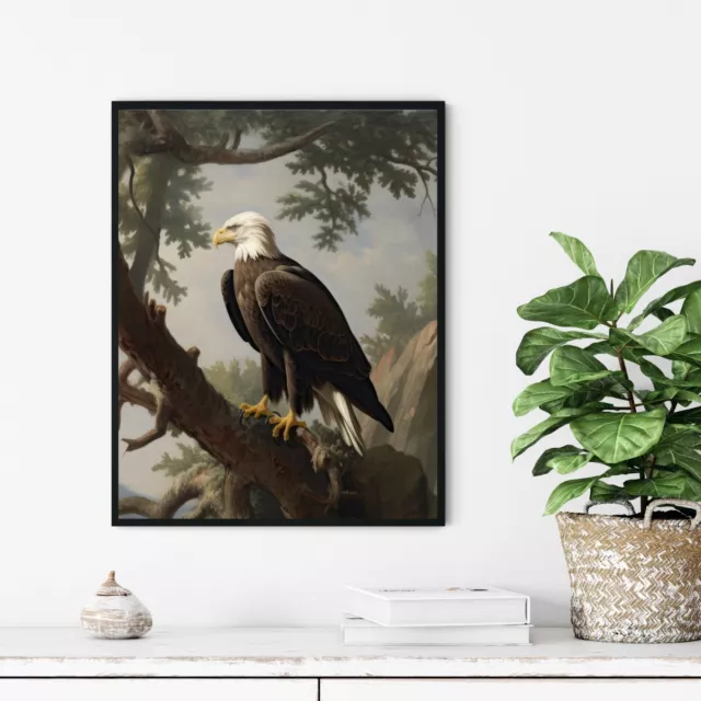 Bald Eagle Bird Vintage Art Print Poster Wall Art Painting NO FRAMED ...