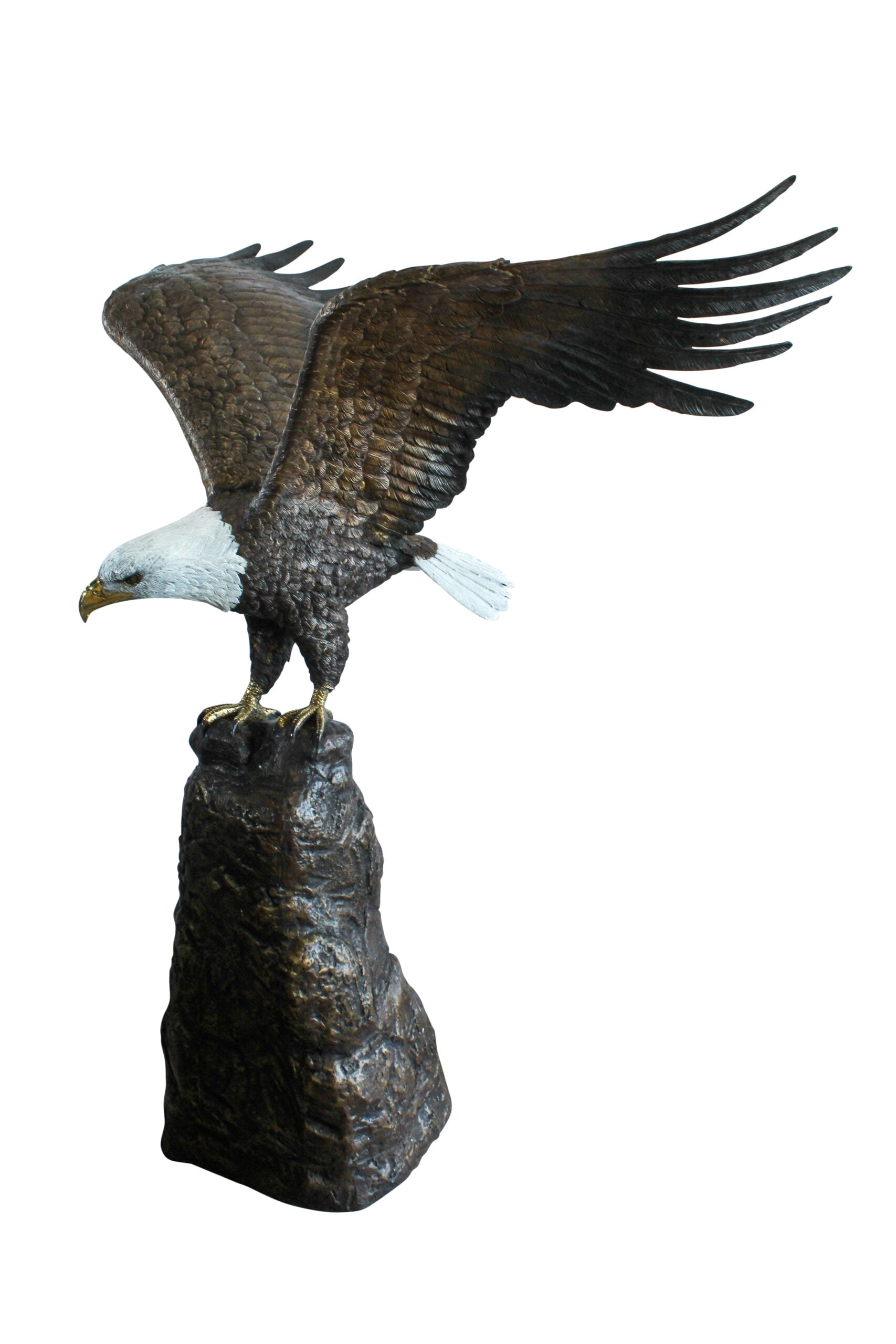 Bald Eagle Bronze Statue with White Head and His Wings Spread 51" x 36 ...