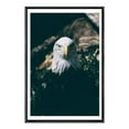 Bald Eagle Canvas Double Framed Wall Art Wildlife Patriotic American ...