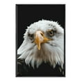 Bald Eagle Canvas Double Framed Wall Art Wildlife Patriotic American ...
