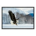 Bald Eagle Canvas Double Framed Wall Art Wildlife Patriotic American ...