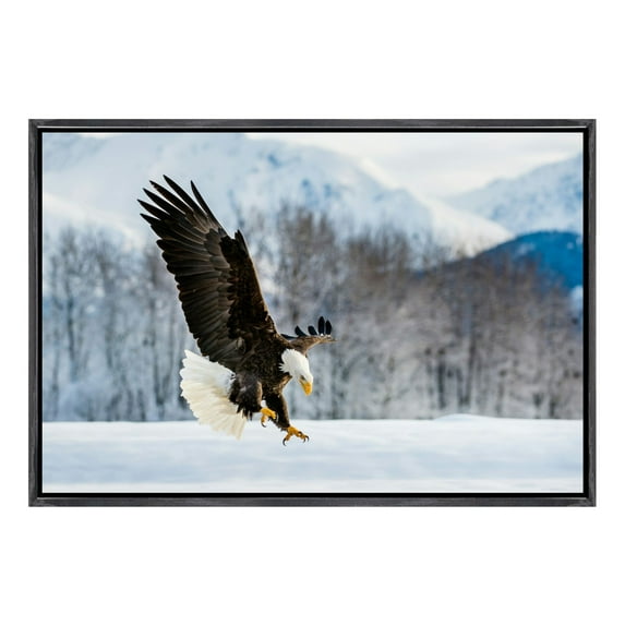Bald Eagle Canvas Double Framed Wall Art Wildlife Patriotic American ...