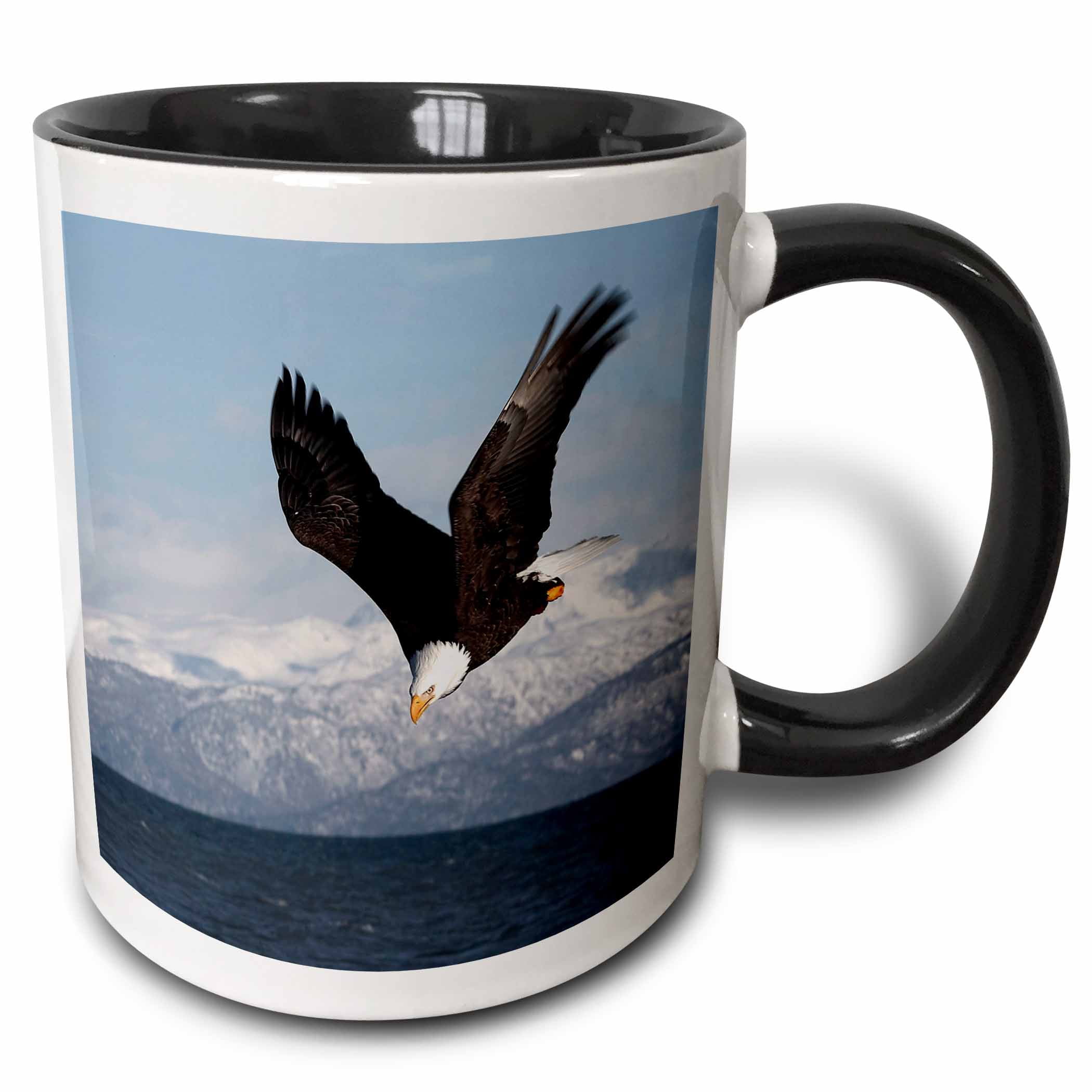 3drose, Bald Eagle Diving, Homer, Alaska - Na02 Dno0196 - David ...