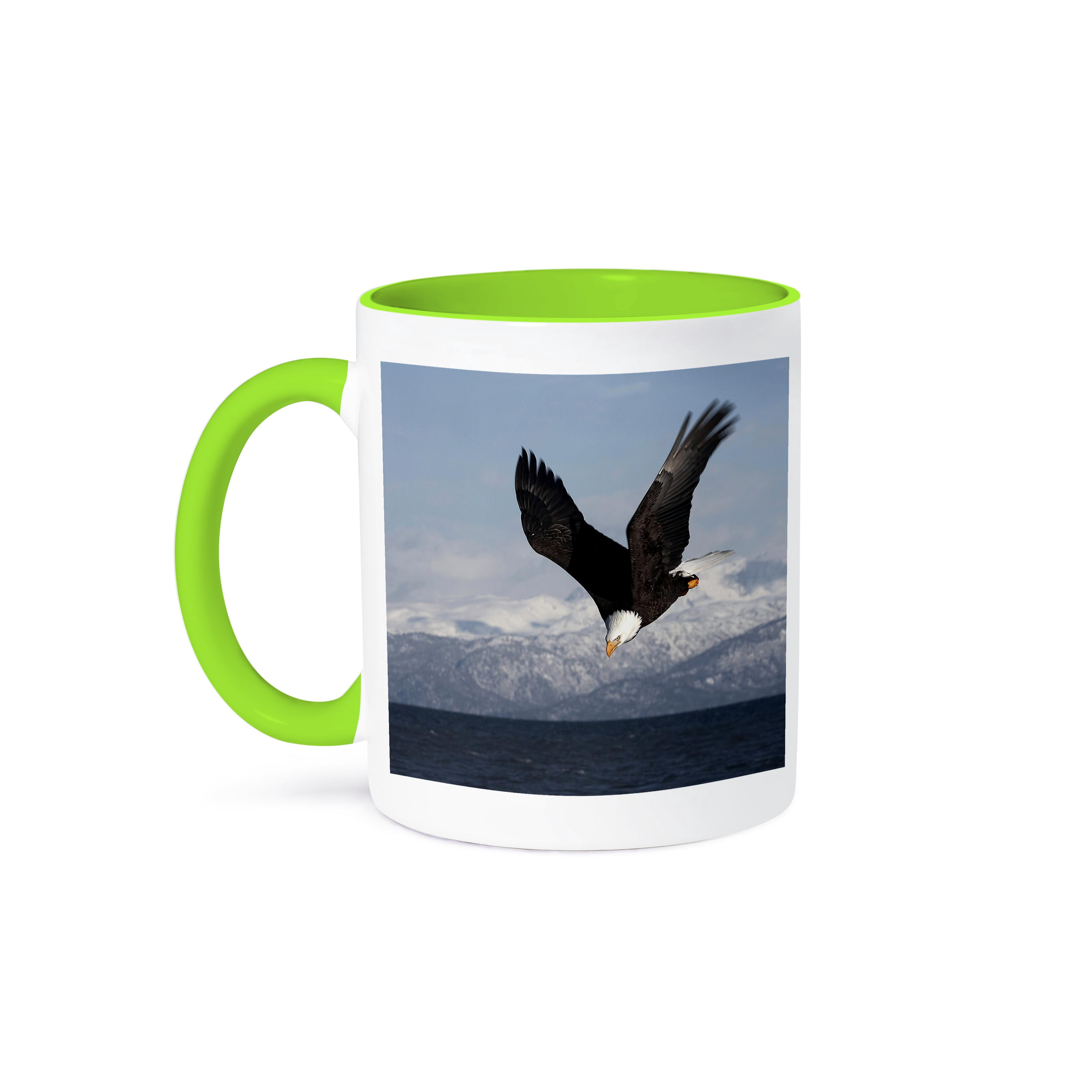 Bald Eagle Diving, Homer, Alaska - Na02 Dno0196 - David Northcott, 11oz ...