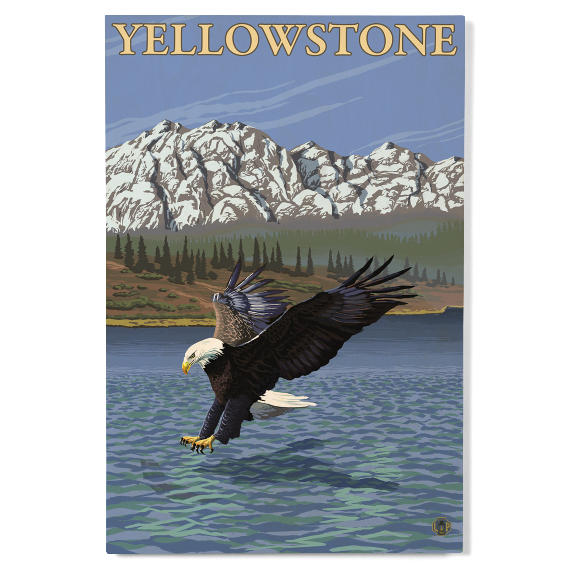 Bald Eagle Diving, Yellowstone National Park Birch Wood Wall Sign ...