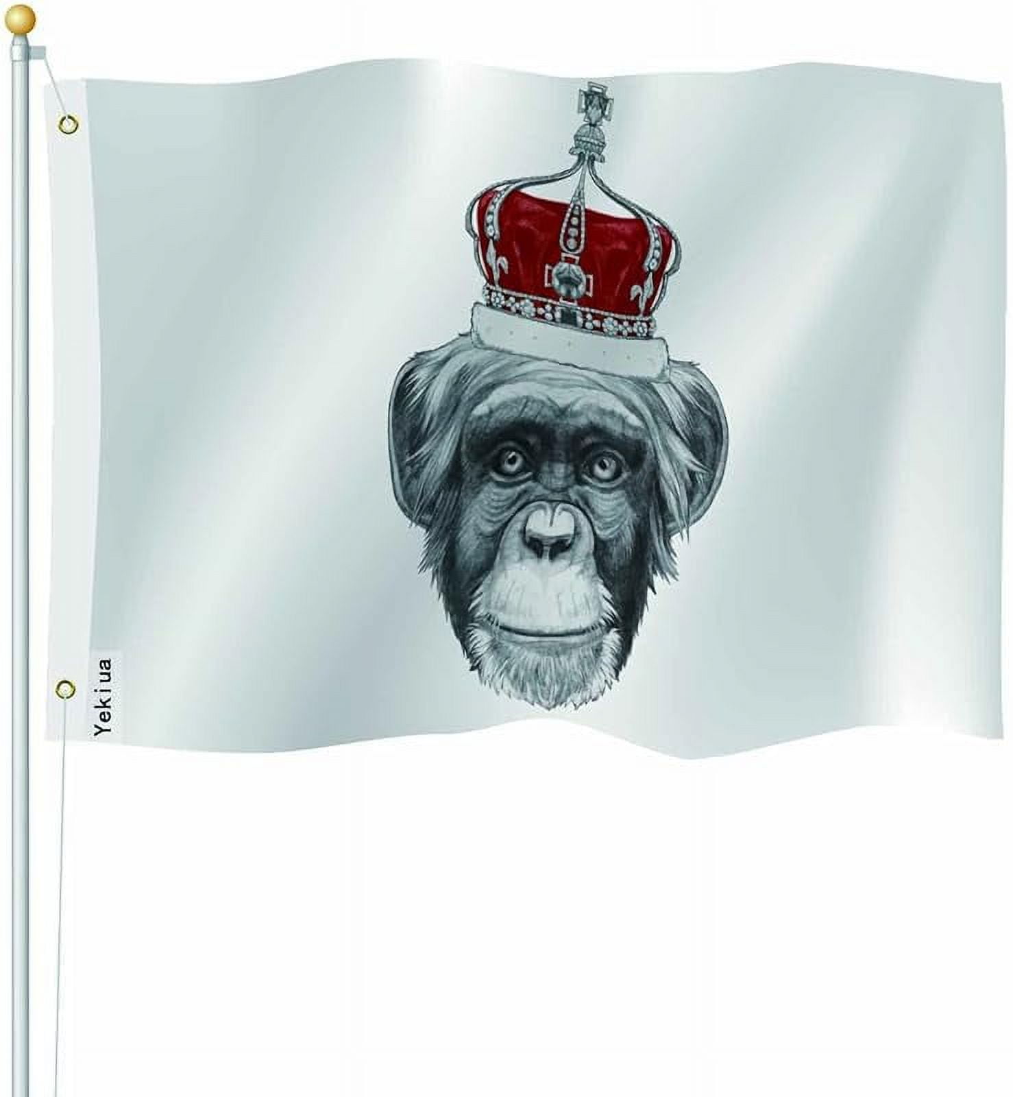 Bald Eagle Flag 3X5 Ft Outdoor Bird Flight Against Mountain Premium ...