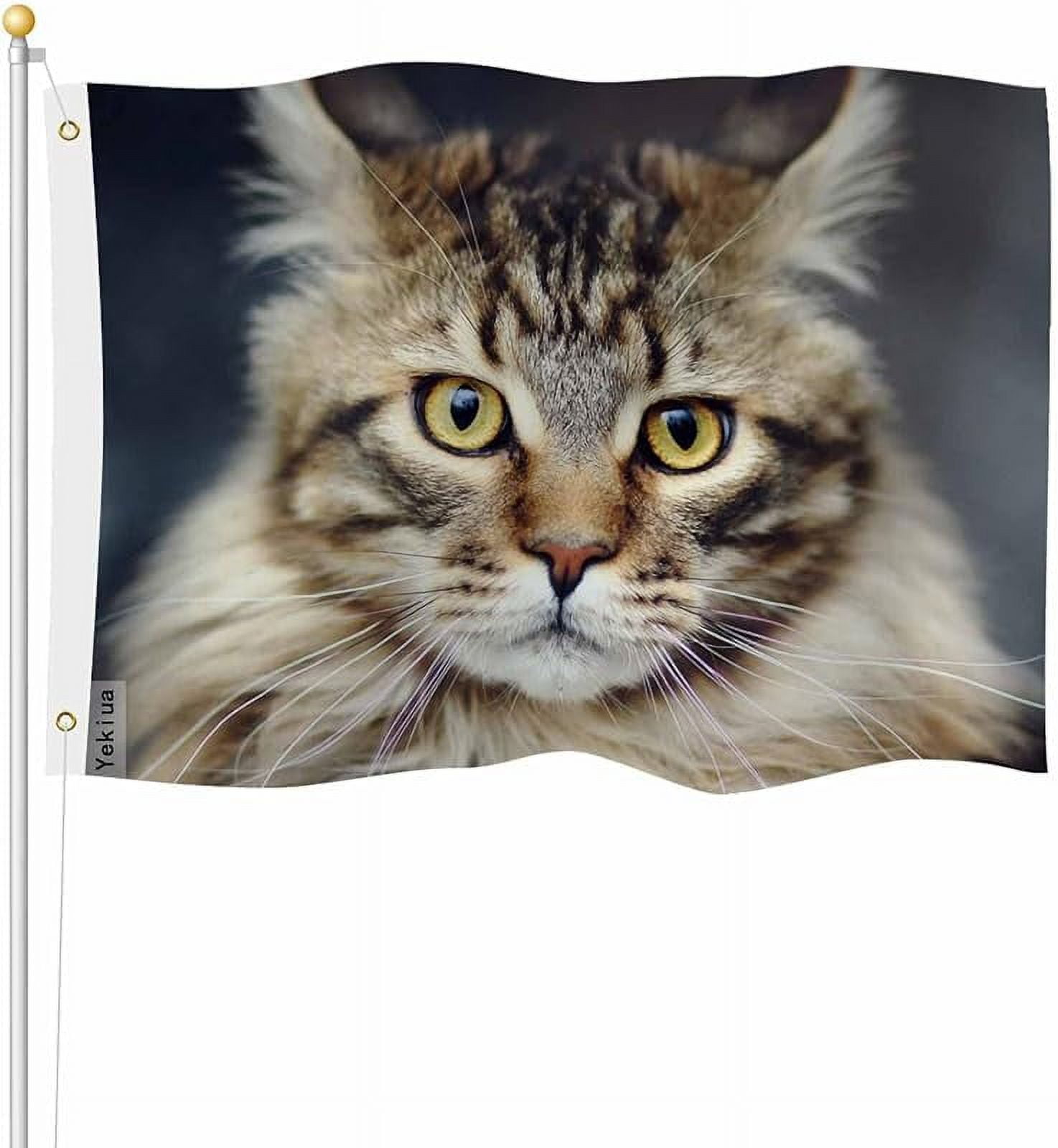 Bald Eagle Flag 3X5 Ft Outdoor Bird Flight Against Mountain Premium ...