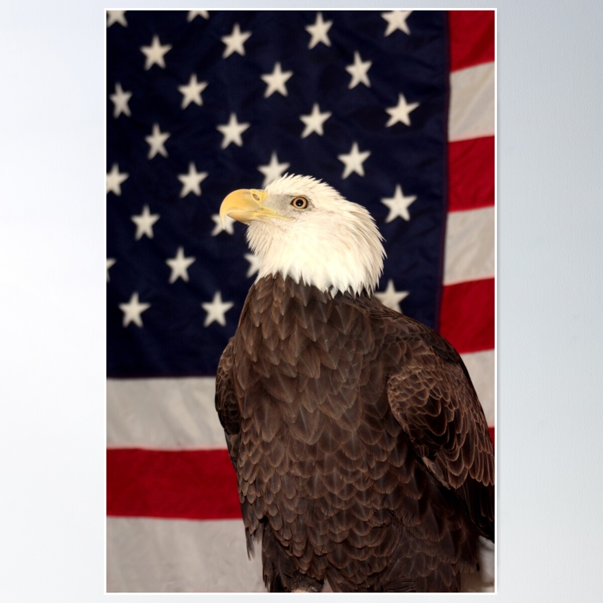 Bald Eagle & Flag Poster Wall Art, Modern Wall Decor For Living Room ...