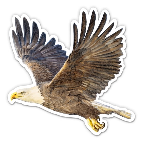 Bald Eagle Flying - 12" Vinyl Sticker Waterproof Decal - Walmart.com