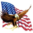 Bald Eagle Flying Over US Flag Edible Icing Sheets- Assorted Image Cake ...