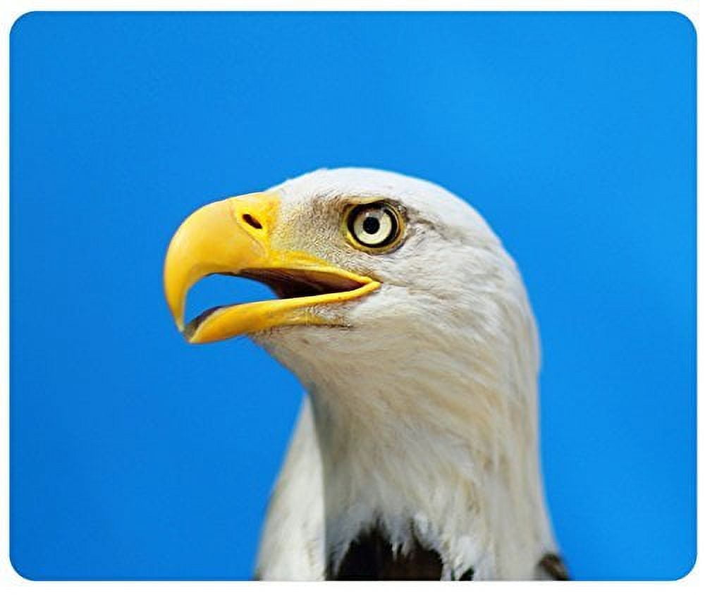Bald Eagle Head Mouse pads Gaming Mouse Pad 9.84x7.87 inches - Walmart.com