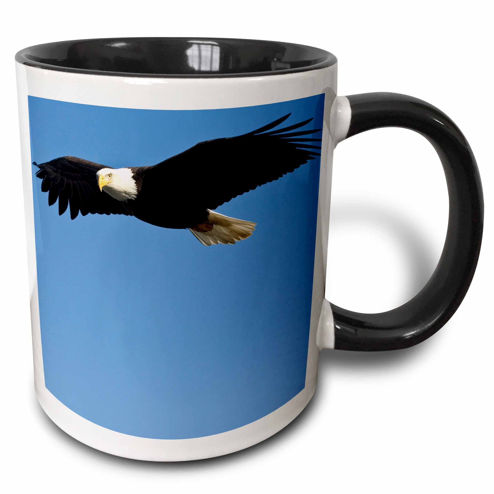 3drose, Bald Eagle, Homer, Alaska - Na02 Dno0622 - David Northcott ...