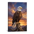Bald Eagle Majestic Bird Sunset Nature Landscape Wildlife Rustic Tree ...