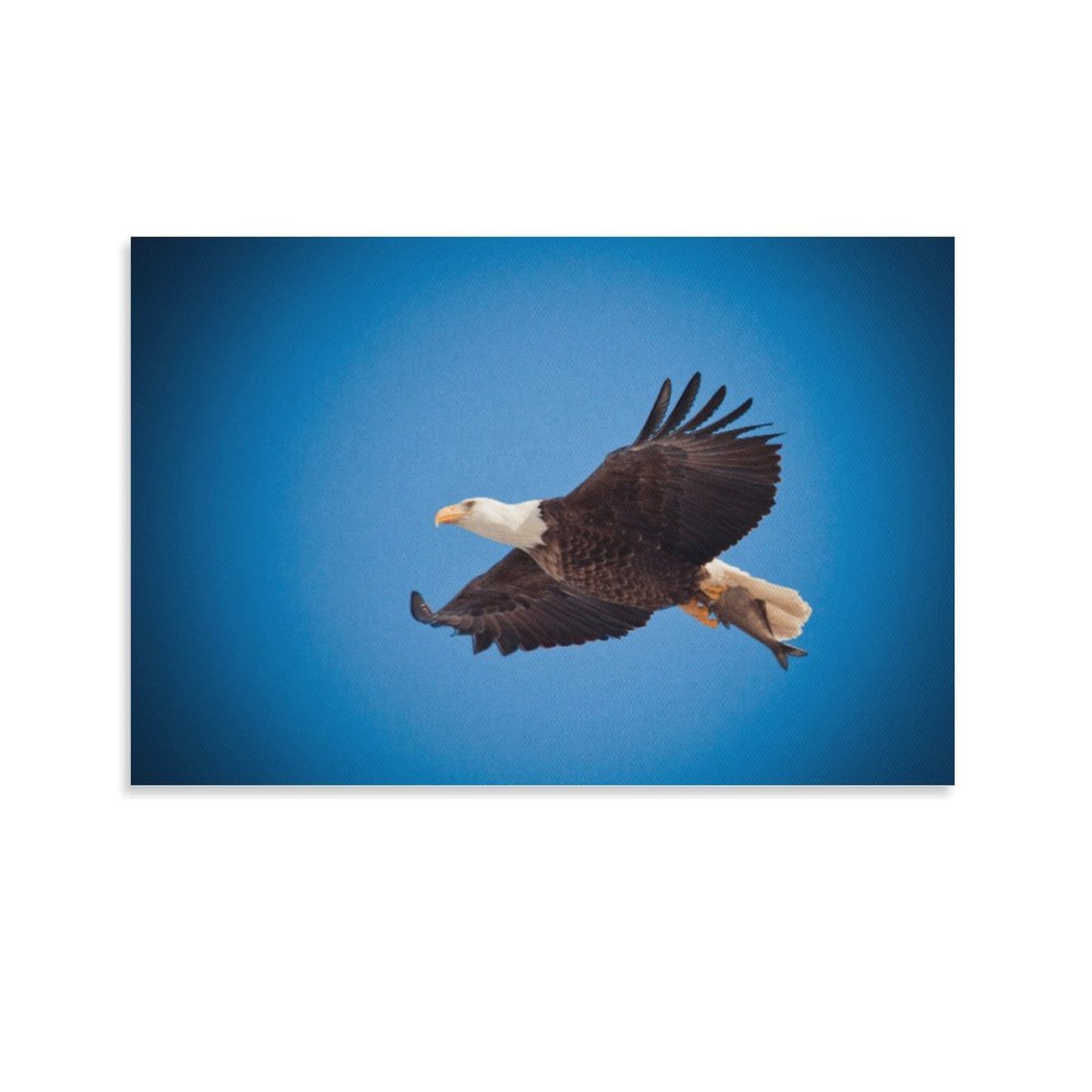 Bald Eagle Poster Decorative Painting Canvas Wall Art Living Room ...