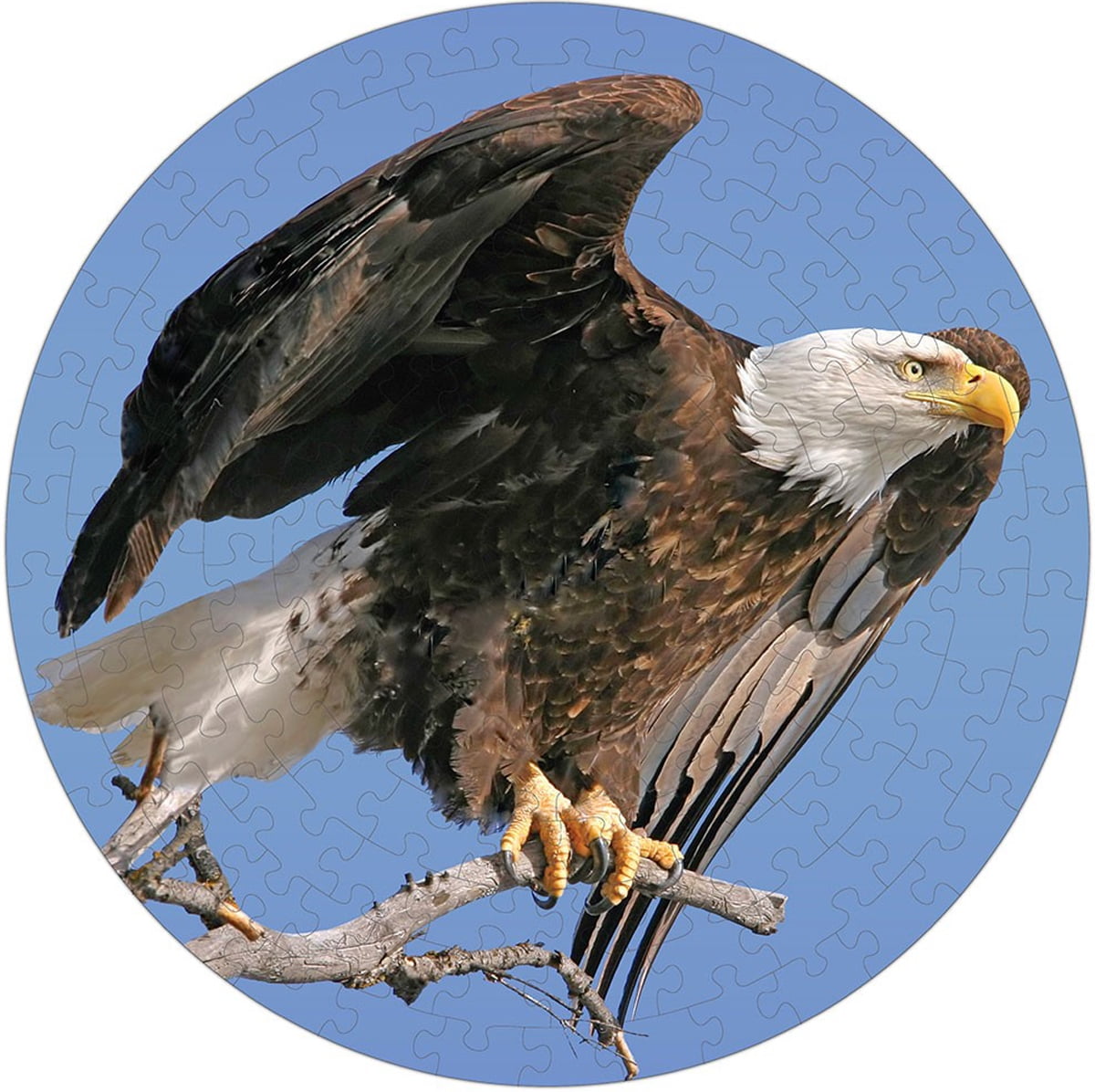 Bald Eagle Puzzle A•Round: - Walmart.com