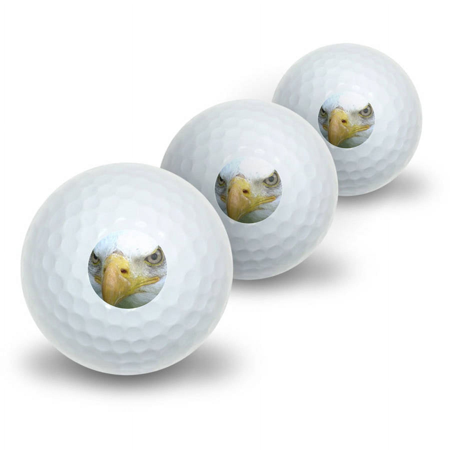 Bald Eagle Staring Raptor Bird of Prey Novelty Golf Balls, 3pk ...