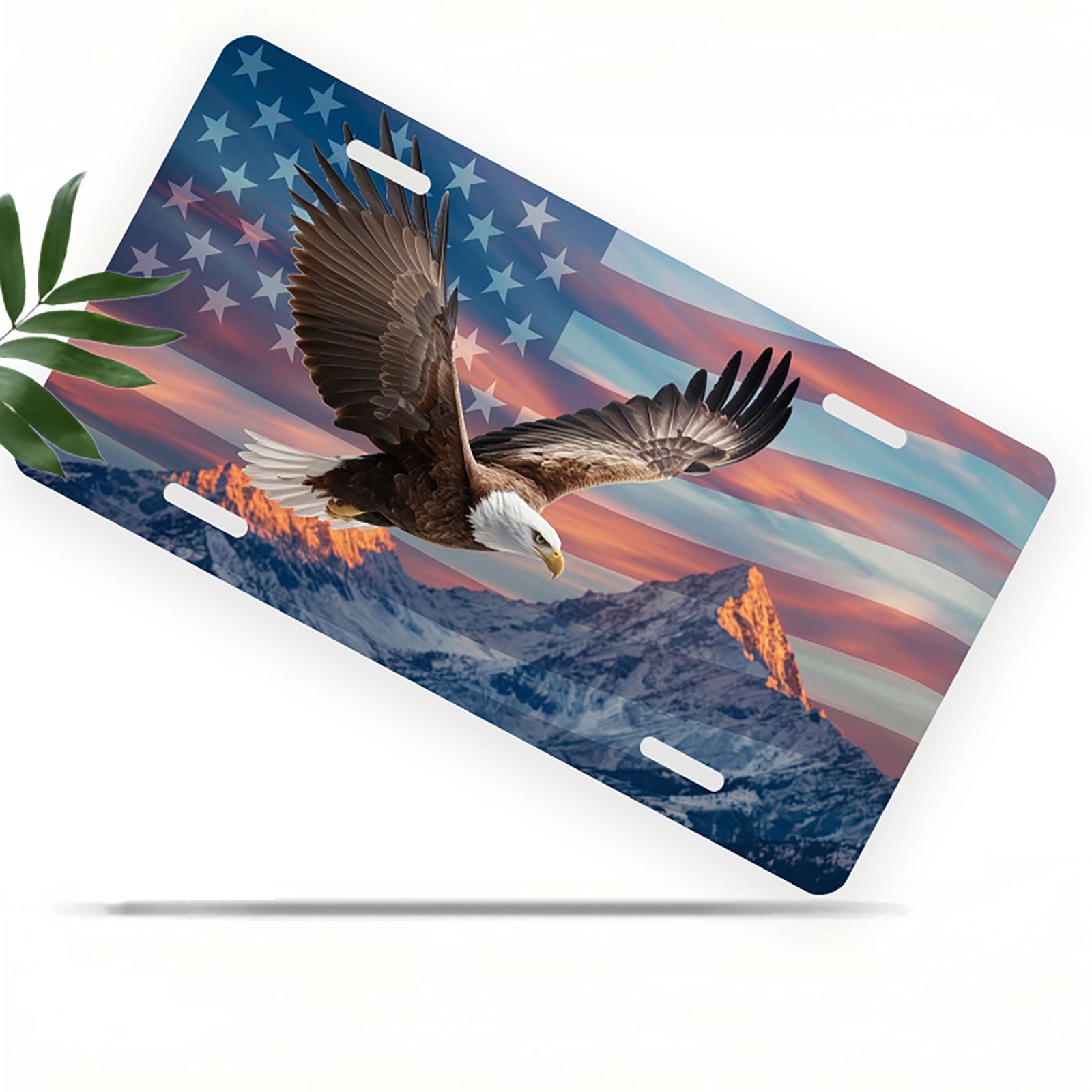 Bald eagle in flight Front License Plate, Metal License Plate, Funny ...