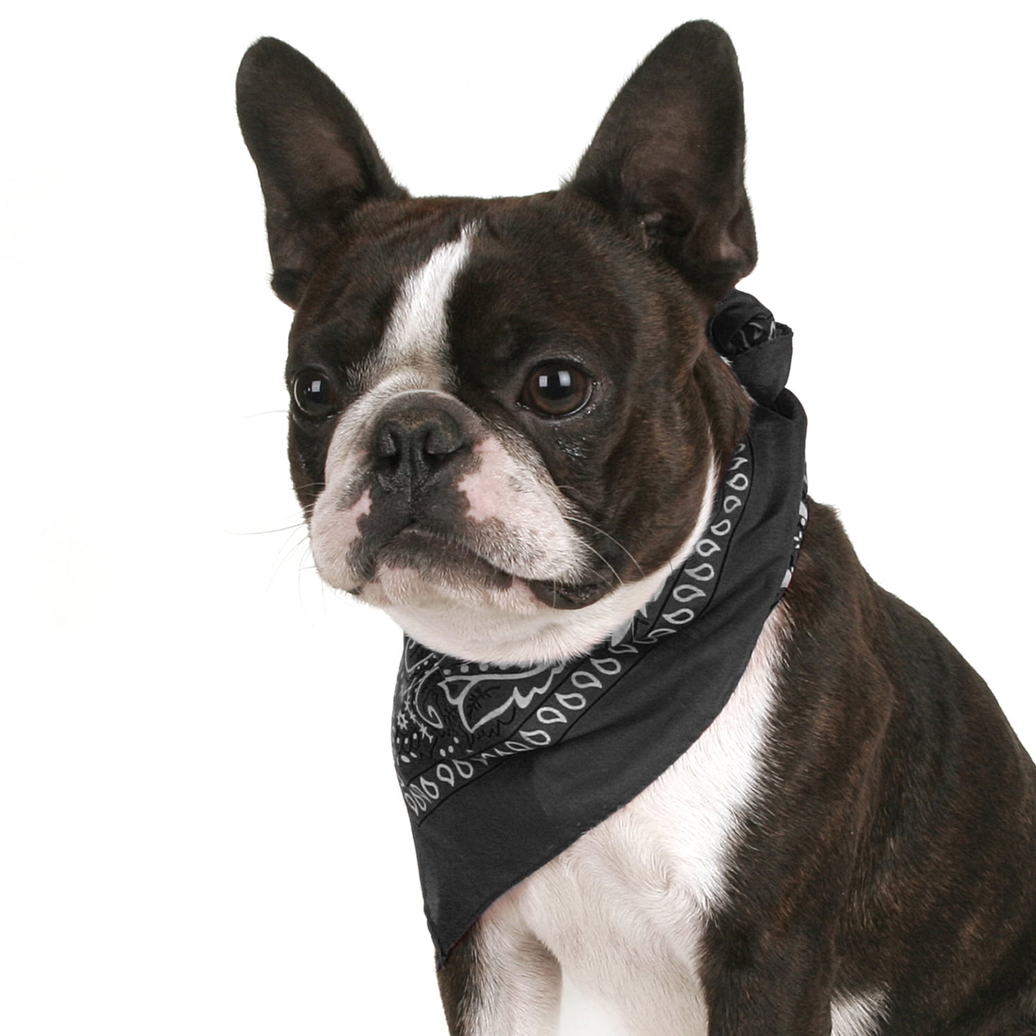 Balec Dog Bandana Paisley Durable Cotton Fabric Pet Triangle Kerchief ...