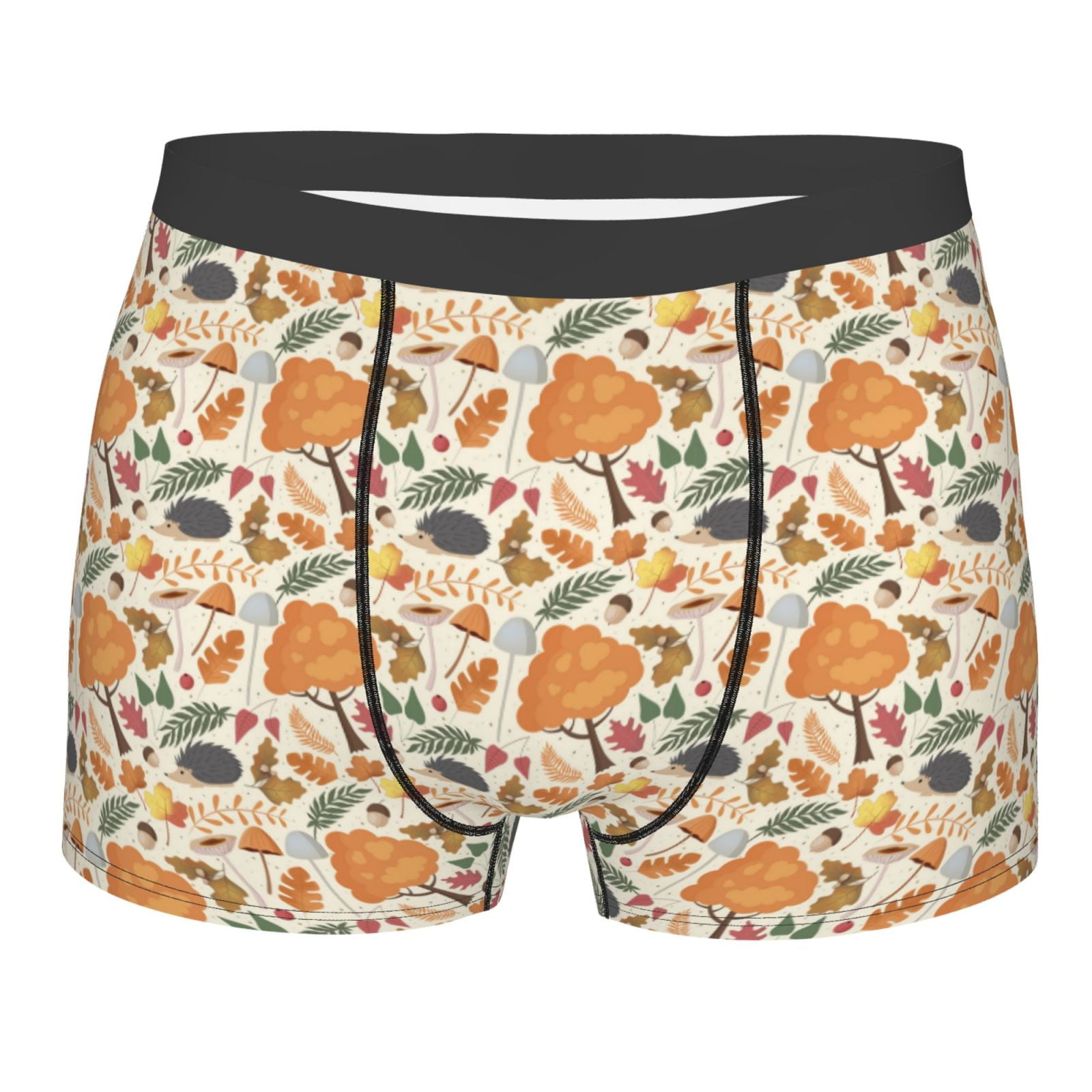 Balery Autumn With Hedgehog Men's Boxer Briefs, Soft and Breathable ...