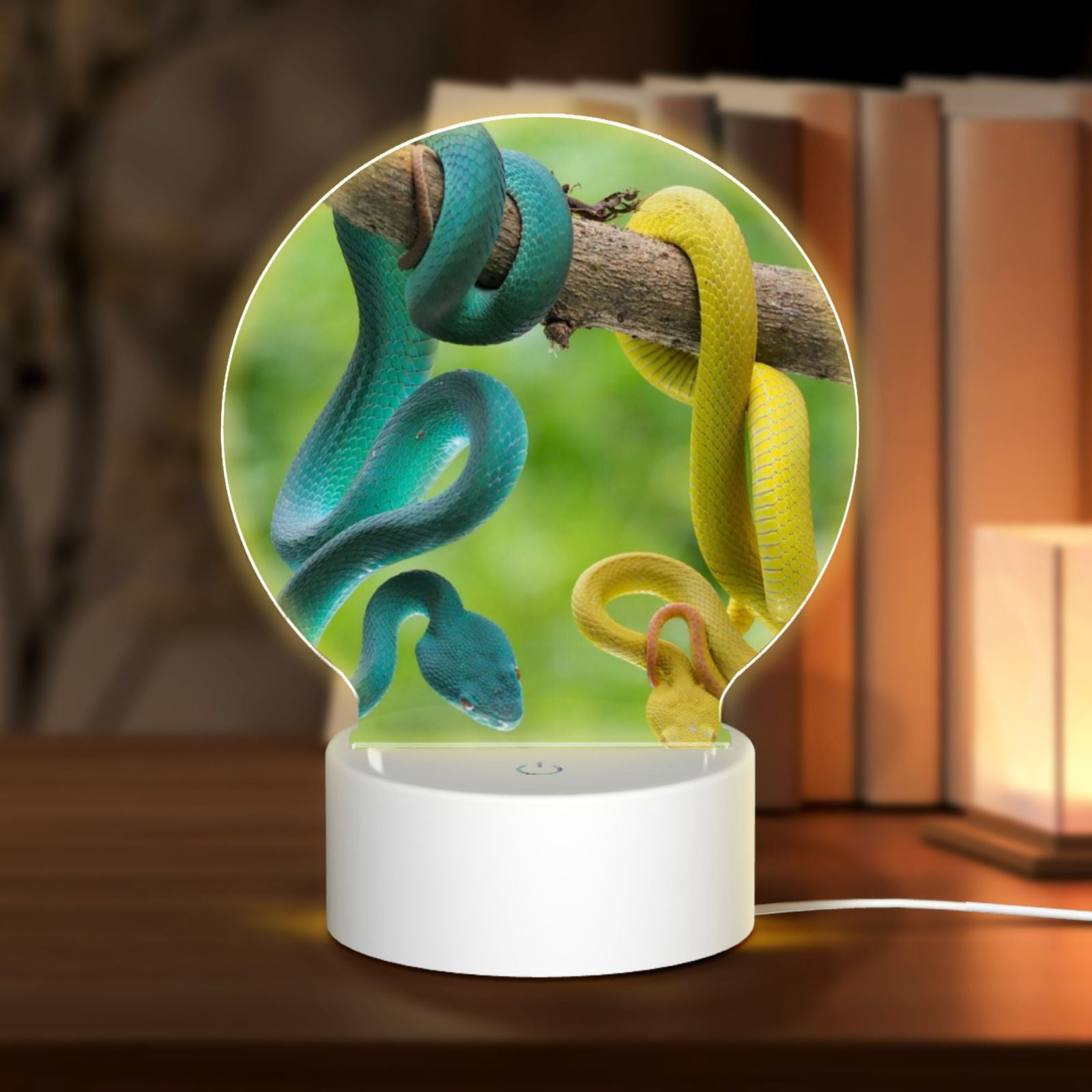 Balery Blue Viper And Yellow Viper Snake Pattern Acrylic Night Light ...