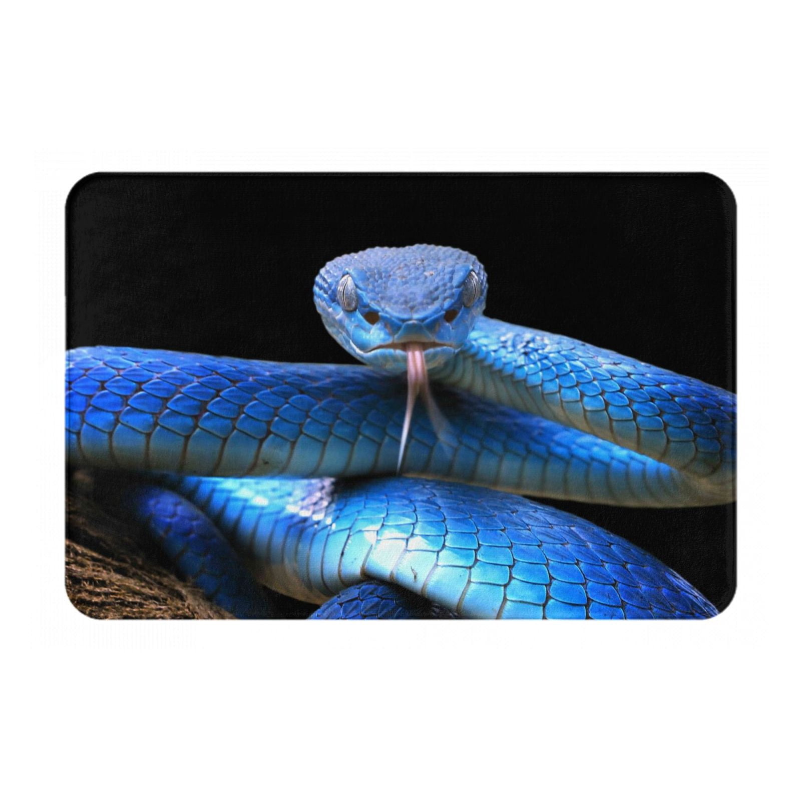Balery Blue Viper Snake Doormat, Durable Flannel Fabric, Waterproof ...