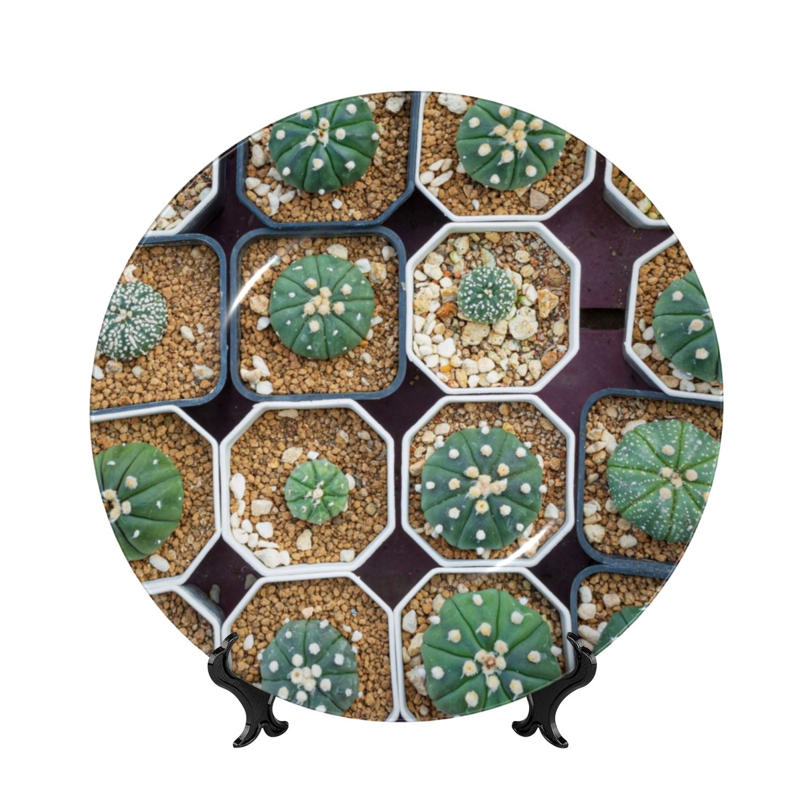 Balery Cactus Garden Print Bone China Decorative Plate Ceramic Dinner ...