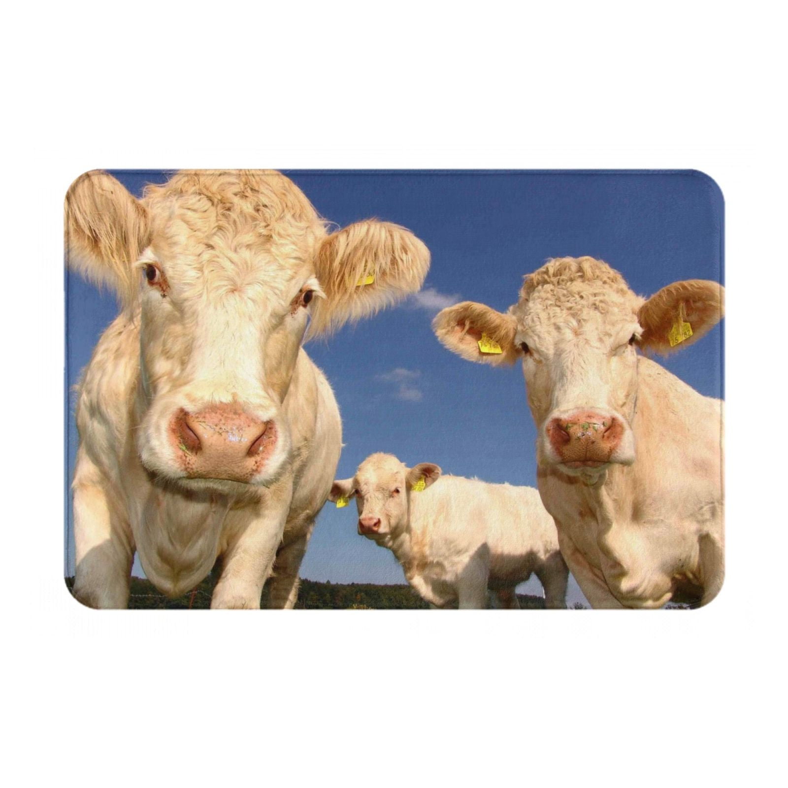 Balery Cows Cattles Doormat, Durable Flannel Fabric, Waterproof Stain ...