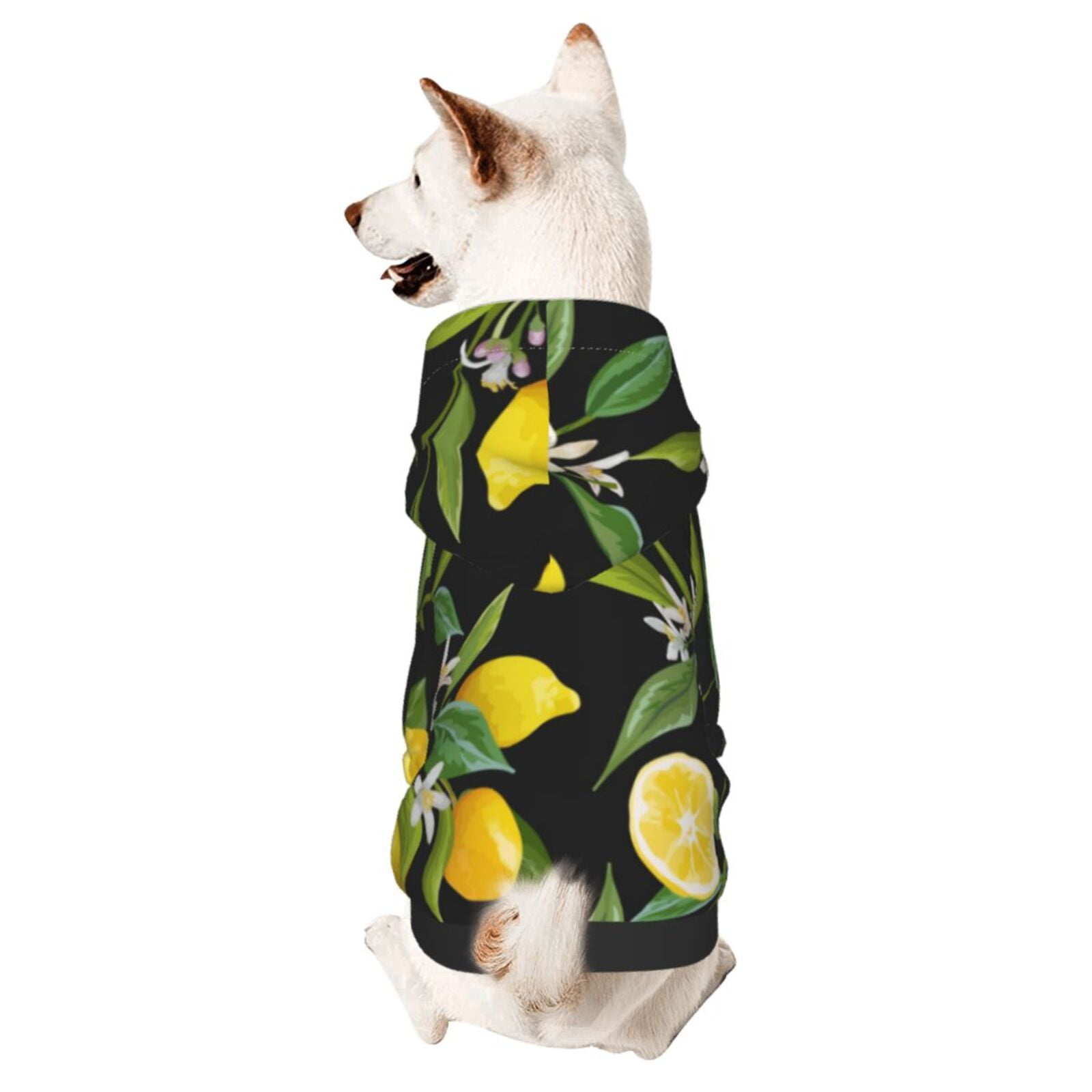 Balery Design Name Dog Hoodie Pets Wear Hoodies For Small Dogs Pet ...