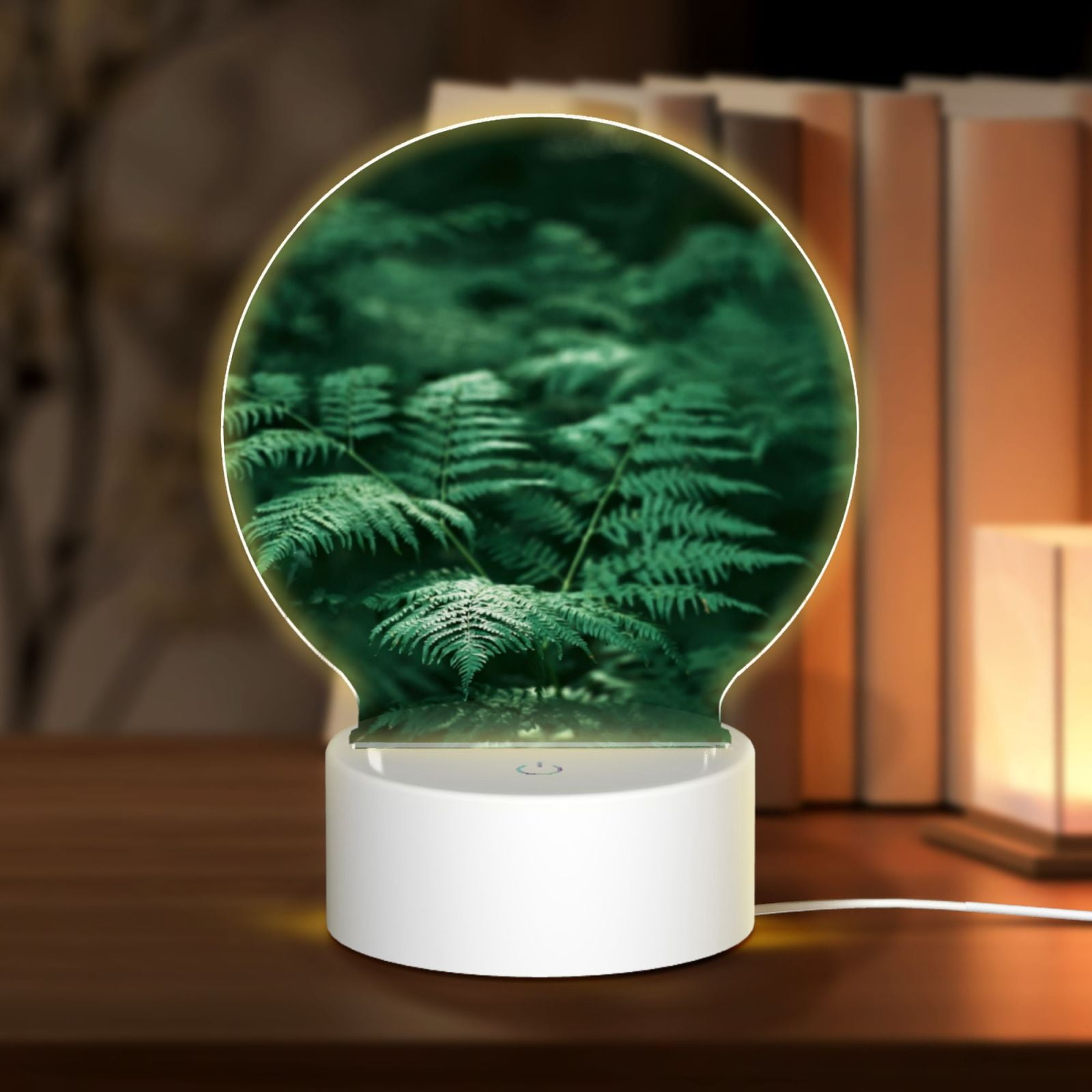Balery Ferns Leave Green Foliage Pattern Acrylic Night Light Gift with ...
